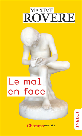 Le mal en face de Maxime Rovere - Editions Flammarion
